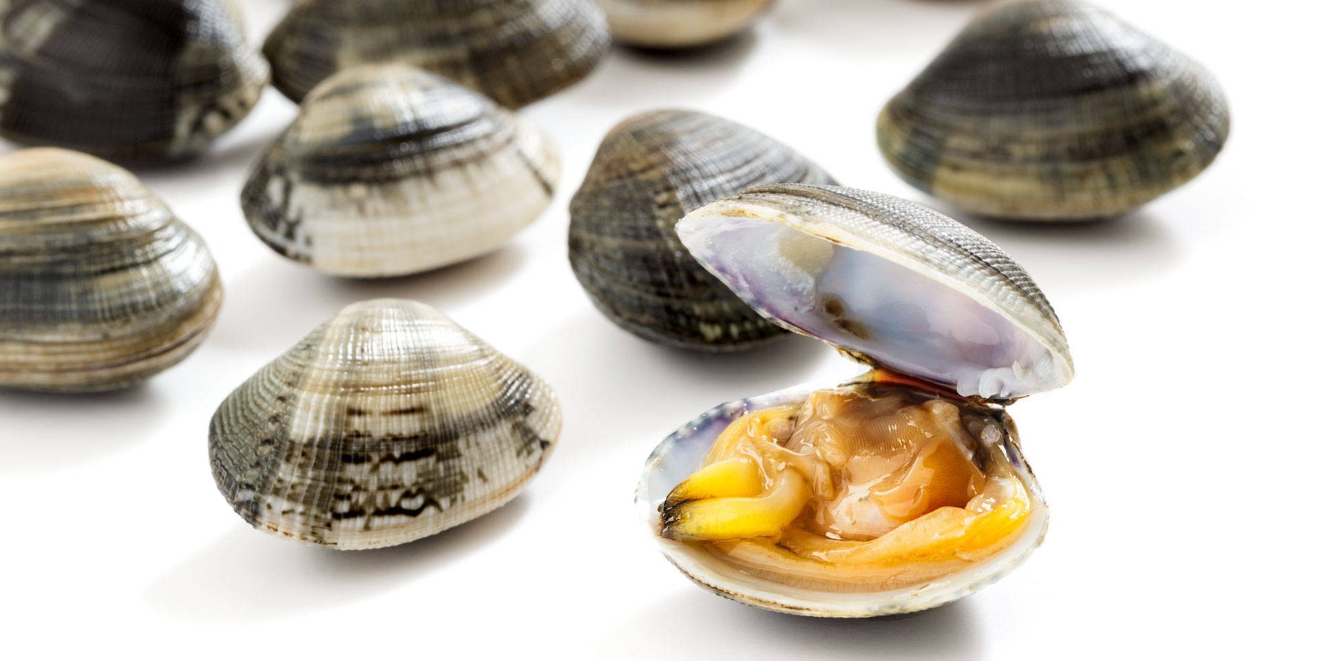 Le vongole - Nieddittas